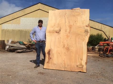 Lebanese Cedar Wood