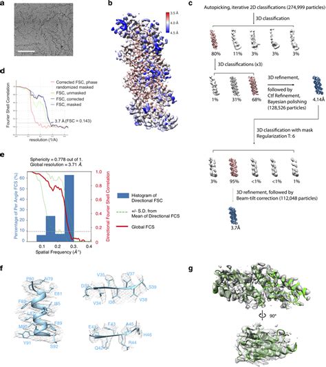 Small Molecule Induced Polymerization Triggers Degradation Of BCL PubMed