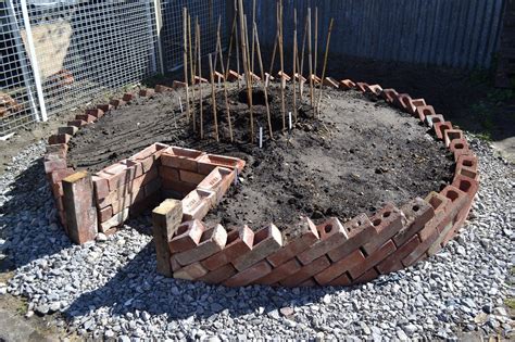 Propagating From Cuttings Permablitz Melbourne