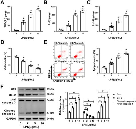 Effects Of Various Doses Of Lps On Inflammatory Response Viability And