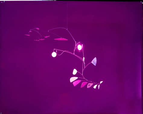 Alexander Calder Art