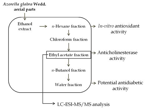 Plants Free Full Text Antioxidant Antidiabetic And