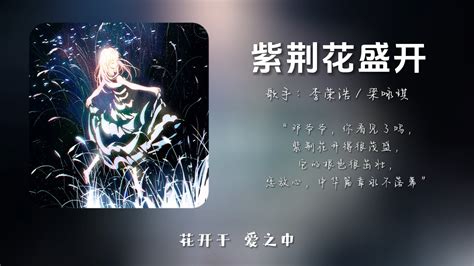 盛开的不仅是紫荆花还有那浴火重生的中华 紫荆花盛开 诺维 Neu 诺维 Neu 哔哩哔哩视频