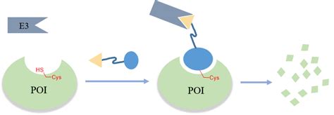 Covalent Protac Technology Development Boc Sciences
