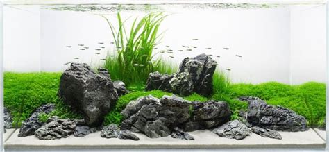 Aquascaping Rocks Planted Aquarium Hardscape Essentials Part 2