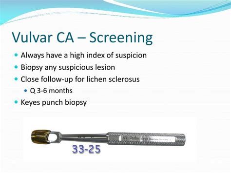 Vulva Punch Biopsy At Christopher Lewis Blog