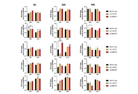 Expression Levels Of Chondrogenic Genes In Oa Chondrocytes At Different