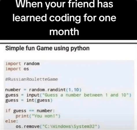 The Best Python Memes Memedroid