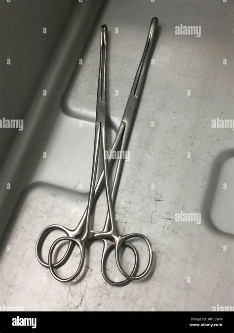 Surgical Tray Hi Res Stock Photography And Images Alamy