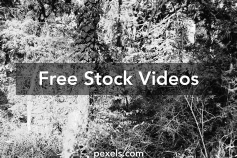 Robot Z Girls Videos Download The Best Free 4k Stock Video Footage And Robot Z Girls Hd Video Clips