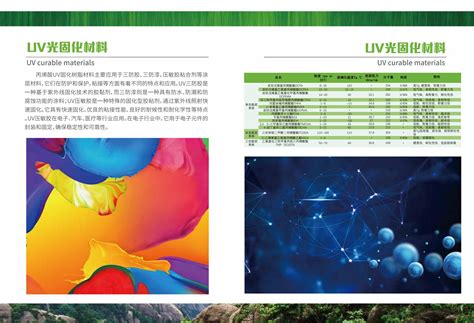 双官能团单体上海菱瑜材料科技有限公司