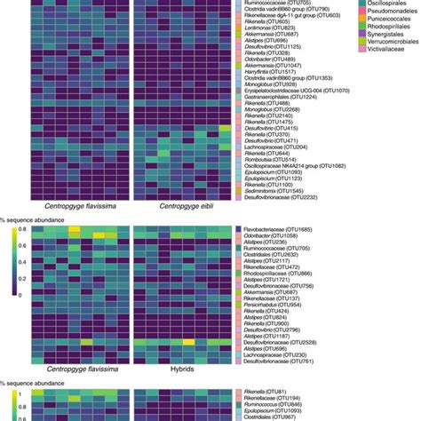 Abundance Of Prokaryotic Operational Taxonomic Units Otus That Differ