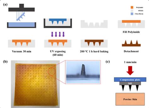 A Fabrication Process Of Polyimide Microneedle B The Fabricated Pi