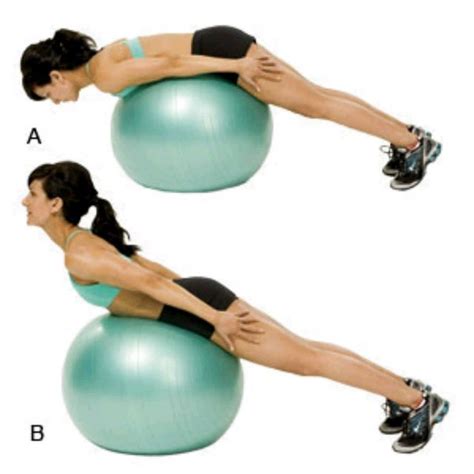 Ball Back Extension By Saeed H Exercise How To Skimble