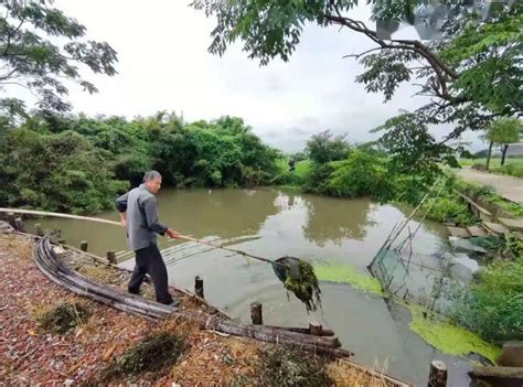 箬横镇“五大五百”治水护河攻坚行动进行时｜白峰管理区这么做林村