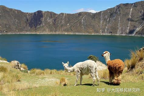 美国eb 5投资移民杀回来了！无排期拿美国绿卡！ 知乎