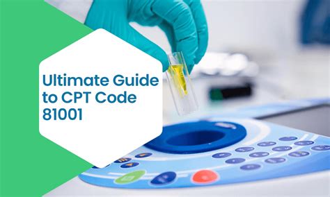 Cpt Code 81001 Description Examples And Reimbursement Guide