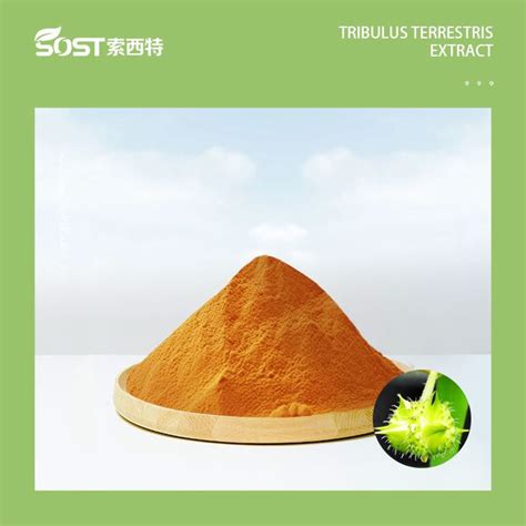 중국 최고의 Tribulus Terrestris 분말 제조 업체 공급 업체 공장 도매 서비스