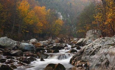 Нивата на реките Марица Тунджа и Арда се повишават