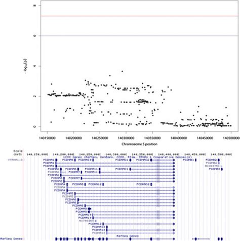 Significant Snp Wise P Values Overlap With The Entire Pcdha Cluster Download Scientific