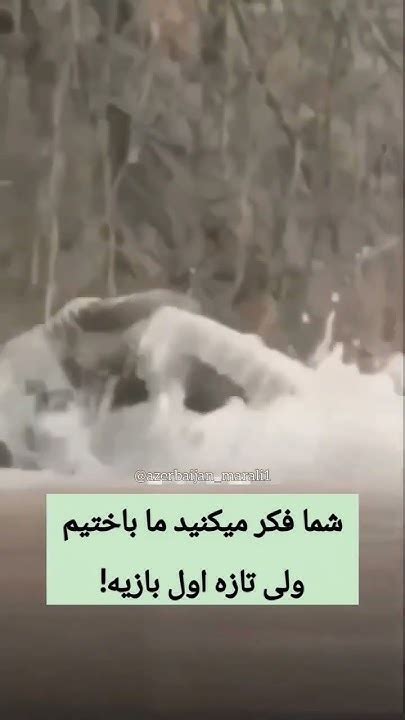 واقعا آموزنده بود جاغوری افغانستان حیواناتبامزه جهان هزاره ازبیک
