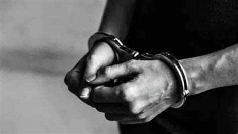 Punjab Vigilance Bureau Held 173 On Bribery Charge In 2024 Top Official