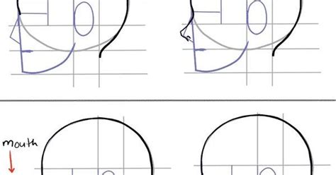 Gambar Muka Dari Samping Materi Belajar Online