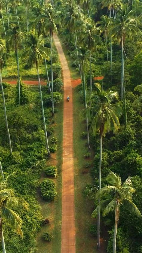 Pin de Ney Pereira em Paisagens em 2024 Paisagens Itambé