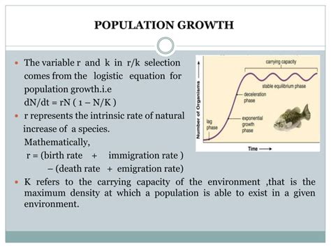R And K Selected Species Powerpoint Presentation Pptx