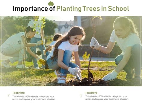 Importance Of Planting Trees In School Ppt Powerpoint Presentation Icon
