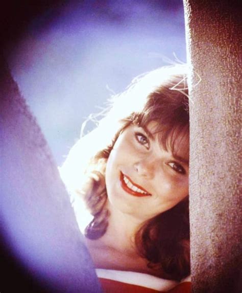 30 Glamorous Photos Of Anne Helm In The 1950s And 60s ~ Vintage Everyday