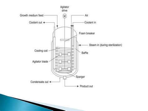 Immobilized Enzymes Reactors Pptx
