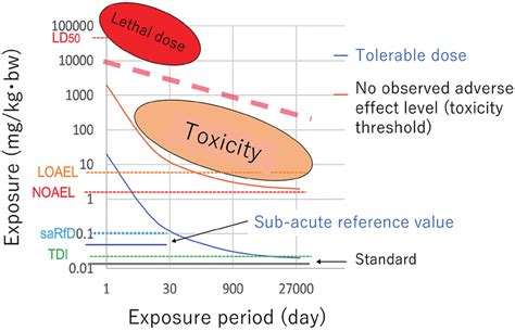 Relationship Among Exposure Period Amount And Toxicity Tolerable Dose