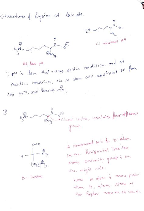 Solved Draw Amino Acid Lysine At A Low Ph As S Isomer And D Fisher