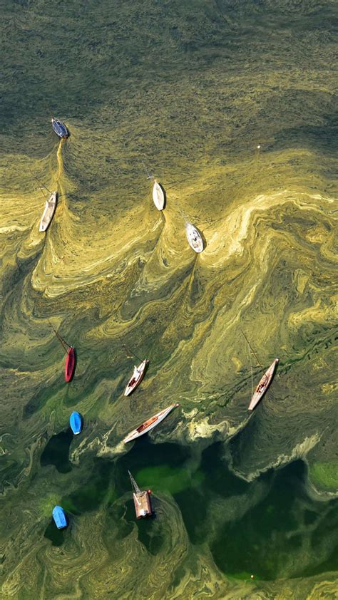 Vidant Health Announces Plans To Re Open Wellness Center In Greenville