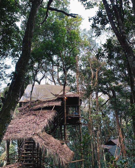 10 Tree Houses In Malaysia To Live Out Your Tarzan Jane Fantasies