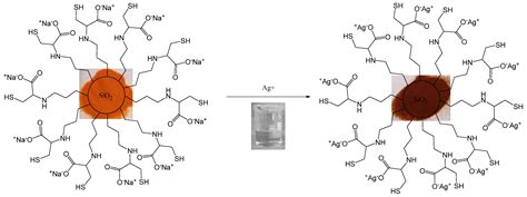 Loading Of Silver I Ion In L Cysteine Functionalized Silica Gel Material For Aquatic Purification