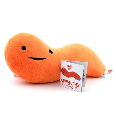 Appendix Plushie Get Well Feel It In Your Gut Plush Organ Toy I