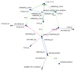 The ONDEX Database Backend