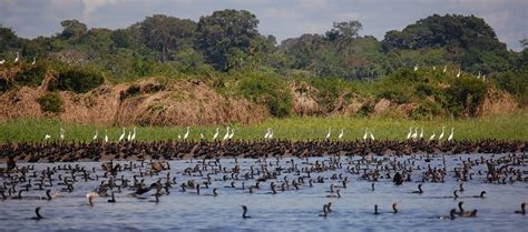 Labocheck Análisis De Agua Agua Y Biodiversidad