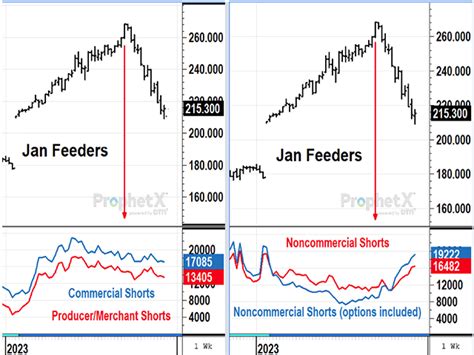 Cftc Data Clarifies Sell Off In Cattle Prices