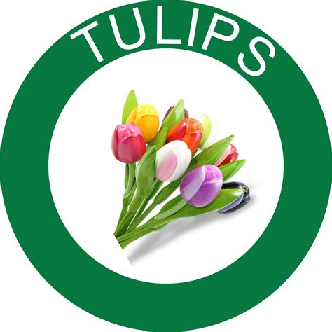 Tulips Assorted Stegmann Trade Sister Company Of Tru Strike Golf