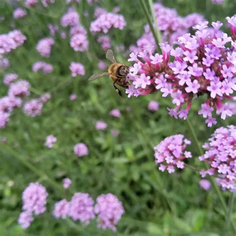 优秀，都有过苦行僧般的生活 知乎