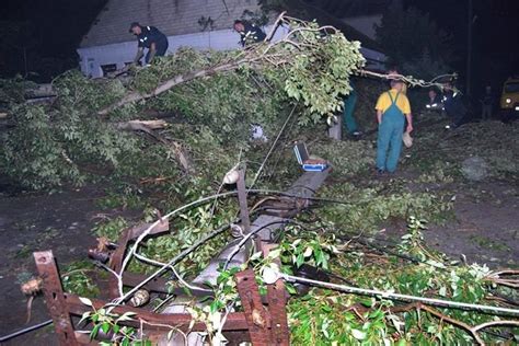 Поройни дъждове и бурен вятър нанесоха щети в Гоце Делчев Информационна агенция ПИК