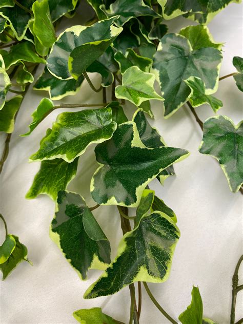 Artificial Trailing Ivy Plant Natural Variegated Leaf 4 Sizes Available