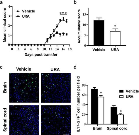 Ura Alleviated Clinical Disease Development In A Passive Eae Model For