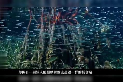 有它千分之一的速度就可以把棒球扔上月球，人类对力量一无所知！月球人类力量