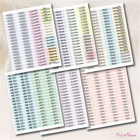 Ensemble Complet Primaire Secondaire Prof Passion