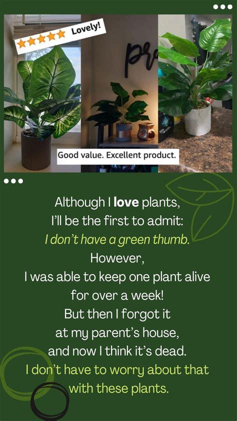 Elevate Your Work Space With These Adorable Un Killable Plants Artofit