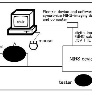 Task Protocol For Experiment Download Scientific Diagram